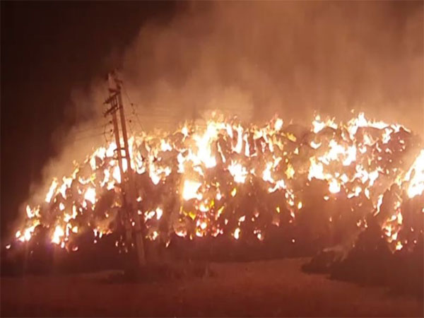 Haryana: Fire breaks out in two mounds of crop residue in Kaithal district