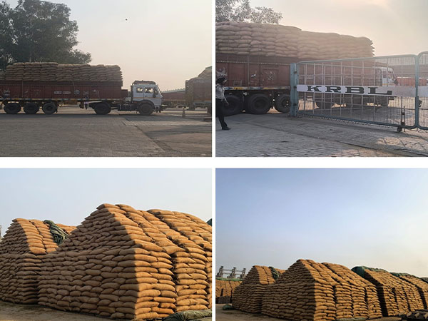 India Gate aims record paddy procurement this season, eyes strong ...