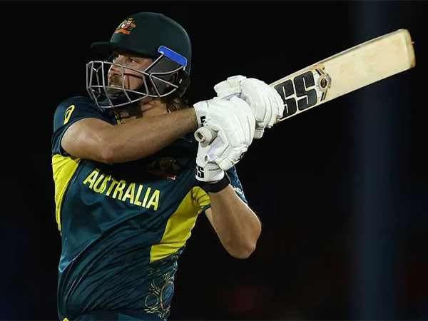 IPL mega auction: RCB buys Tim David, Romario Shepherd, MI gets Will Jacks