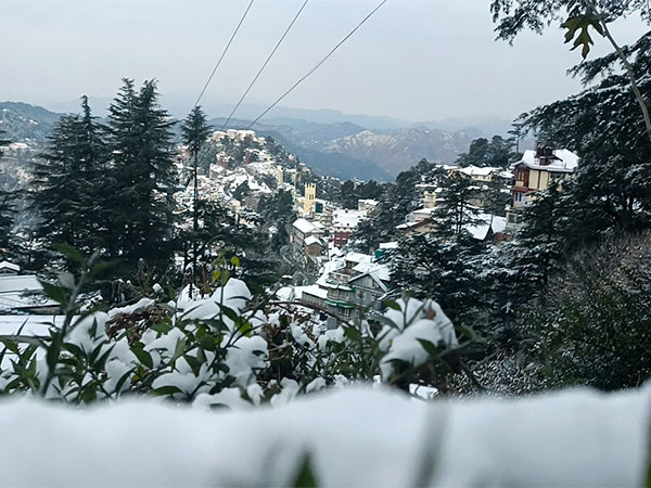 Shimla's tourism flourishes amid snowfall hopes