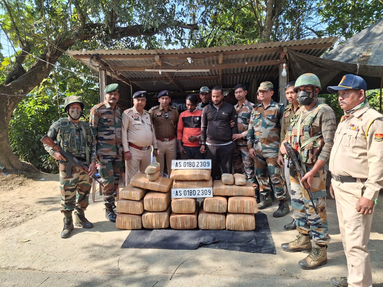 Tripura Assam Rifles And Ambassa Police Seize Marijuana Worth Rs 85 Lakh