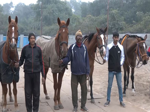 High-tech American warmblood horses deployed to boost security at ...