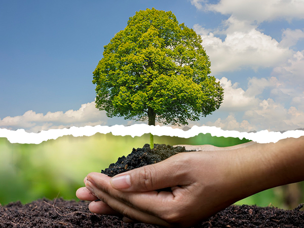 The GreenPrint Revolution: How Students at SCIT are Powering a Greener ...