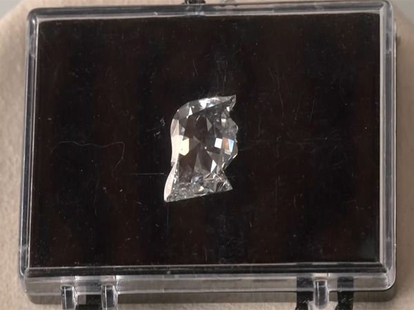 Mumbai: Green Labs crafts Trump-shaped diamond to symbolise strong ...