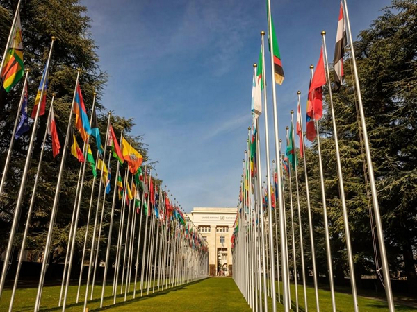 UAE submits periodic report to UN Committee on Elimination of Racial ...