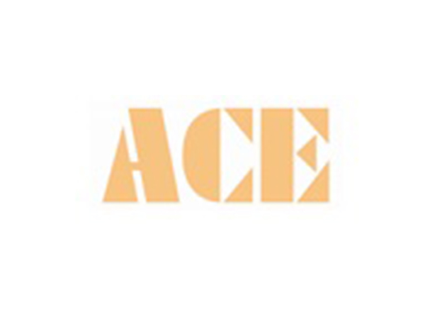 ACE Posts Robust Q3 FY25 - Total Income Up by 16.6 Percent YoY with ...