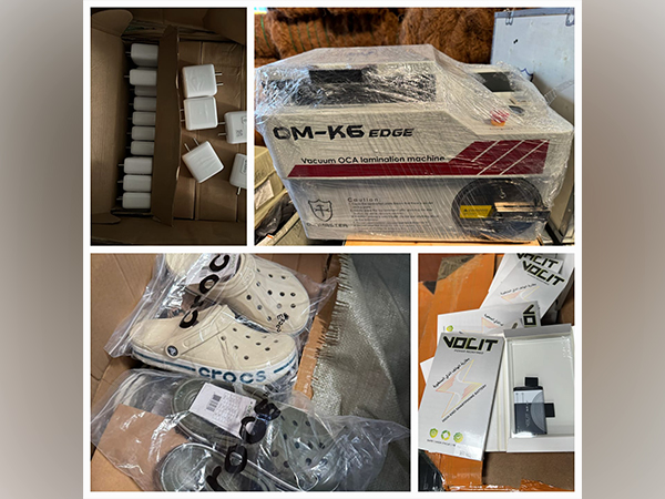 SIIB-Chennai seizes mis-declared goods worth Rs 5.13 crores at port