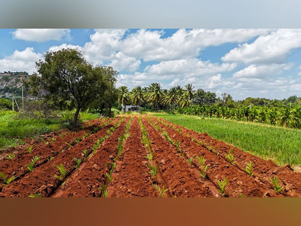 The Art of Living's JalTara: A Simple Yet Revolutionary Answer to India's Water Crisis