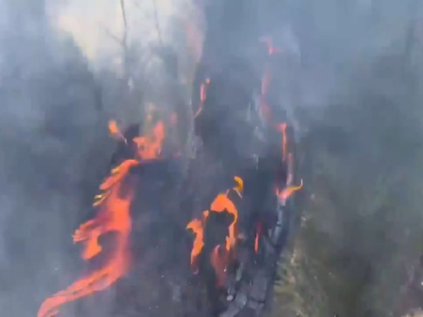 J-K: Fire breaks out in forest area of Udhampur