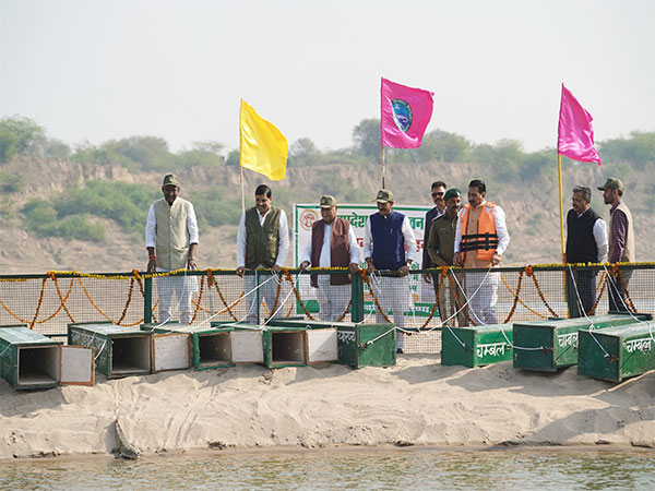 MP CM Mohan Yadav releases 10 crocodiles at National Chambal Gharial ...
