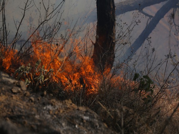 Nepal sticks to traditional measures to control forest fire as threat ...