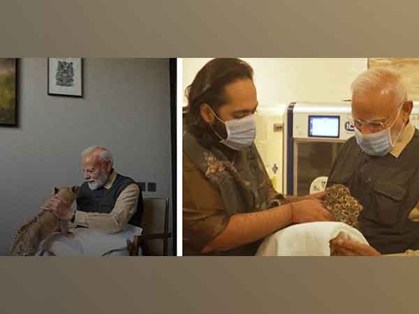 PM Modi inaugurates Vantara in Jamnagar, feeds lion cubs, giraffes