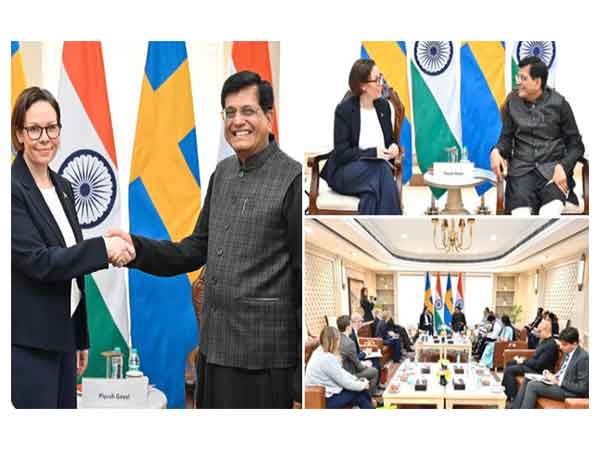 Piyush Goyal discusses bilateral trade-investment with Swedish foreign ...