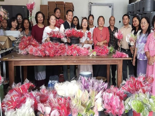 Anthurium flowers from Mizoram go beyond borders, exported first time ...