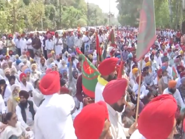 Nobody will influence the investigation": Punjab Minister Harpal Singh ...