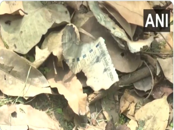 Burnt pieces of currency notes found in garbage near Delhi HC judge ...