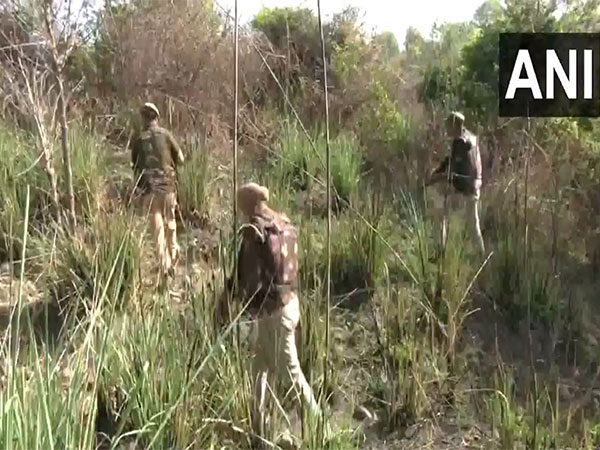 J-K: Security forces intensify search operation in Kathua-Samba sector