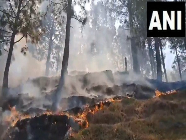 J&K: Massive fire erupts in Kalakote forest; firefighting operations ...