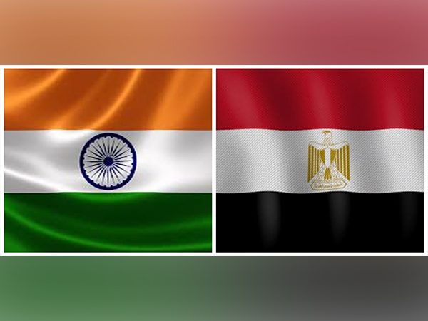 India, Egypt explore strategic skill development partnership