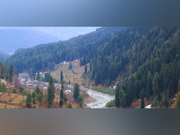 India interacting with UN partners, 1267 Sanctions Committee: Sources