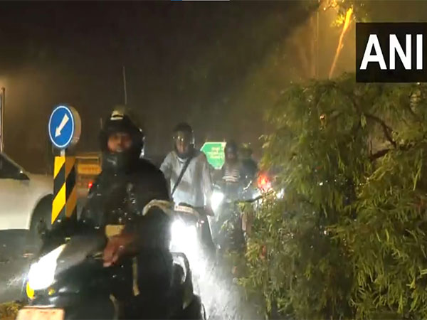 Delhi sees gusty winds, hailstorm and heavy rain as people feel relief from heat; flights impacted