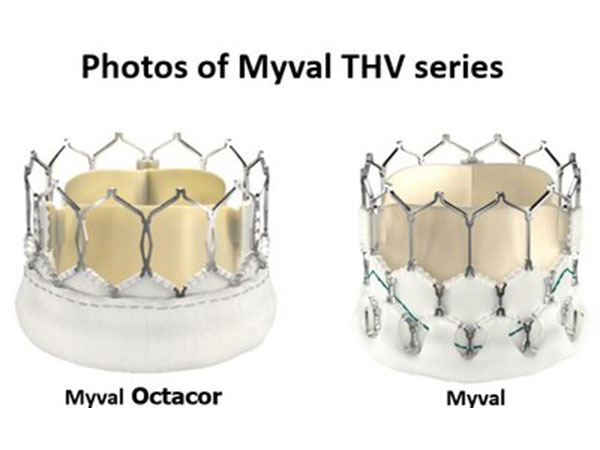Meril Presents Successful LANDMARK RCT One-Year Results at Prestigious ...