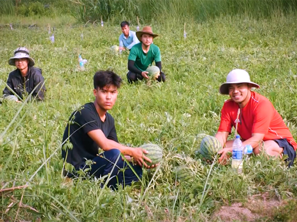 Manipur's youth lead organic farming initiative
