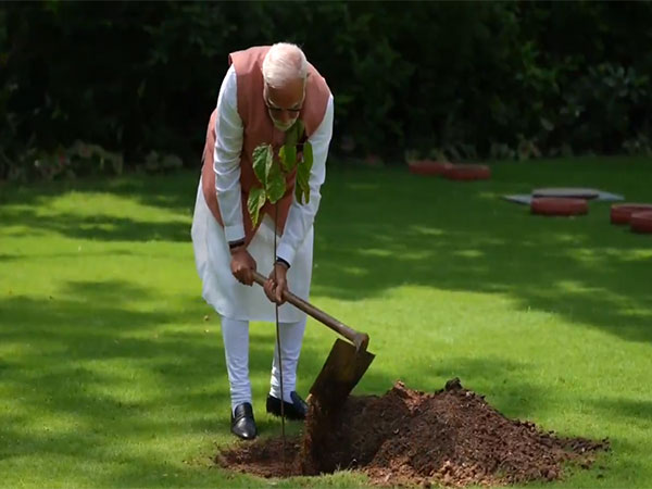 PM Modi plants 'Sindoor sapling' presented by Bhuj women of 1971 War