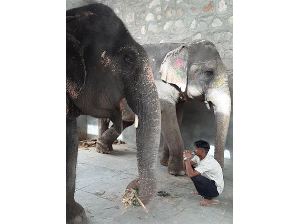 Responsible Human Behaviour Needed to Protect Animals, says World ...