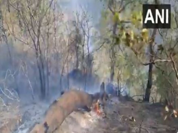 J-K: Forest fire near NH-144A brought under control
