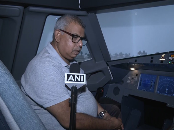 Loss of thrust, bird strike, pilot error or technical fault: Aviation ...