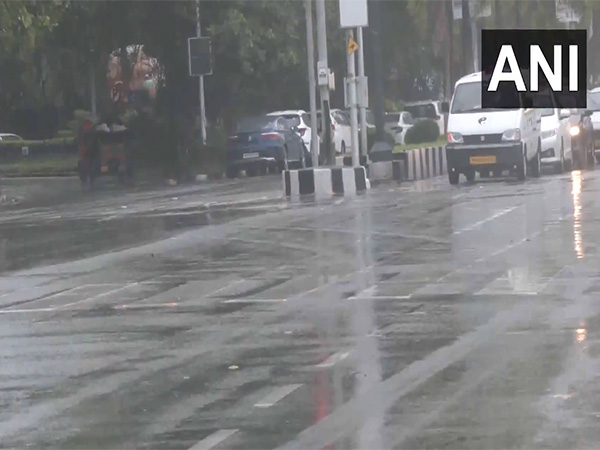 Mumbai: Powai Lake overflows after heavy rainfall