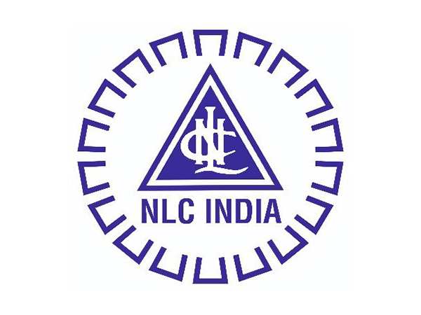 NLC India's renewable arm wins 500 MWh battery energy storage project ...