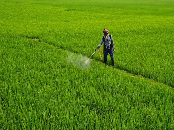 Early Monsoon to Boosts India's Crops, Agrochemicals Sector Poised for ...
