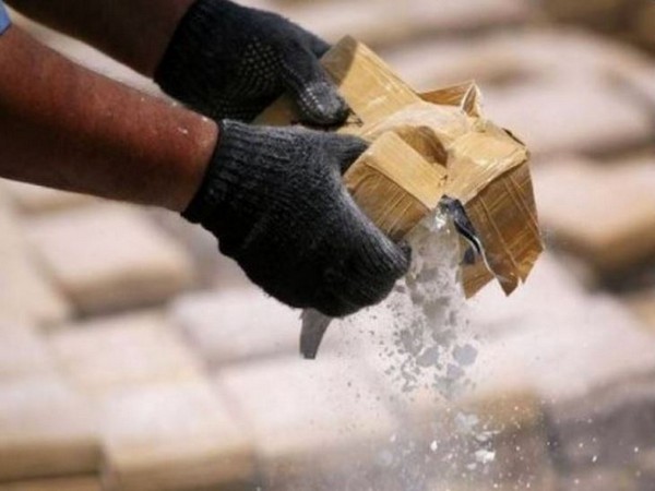 BSF foils narco-smuggling attempts along Punjab border; two smugglers ...