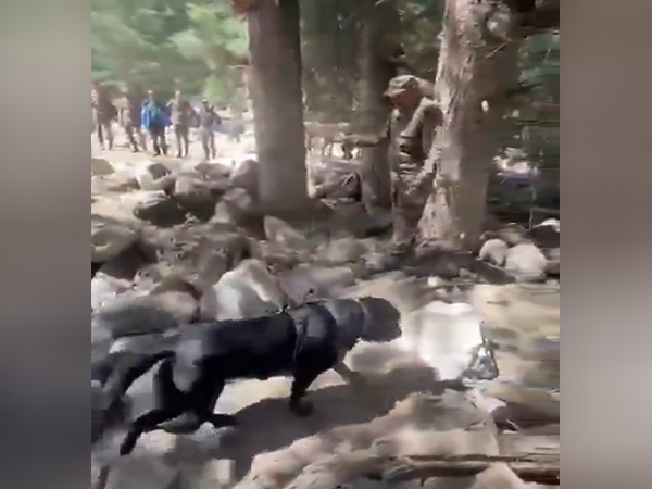 Indian Army canine teams deployed for search operations in Uttarkashi