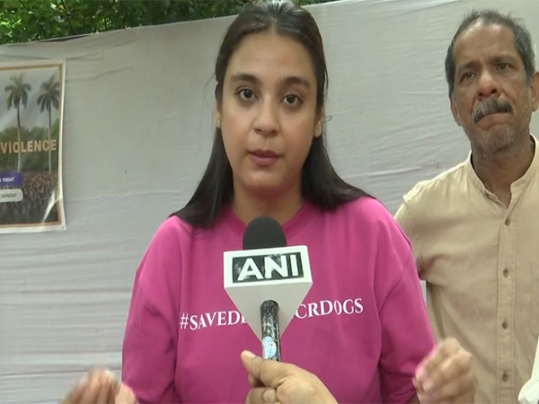 Animal lovers hail Supreme Court's revised verdict on stray dogs, say ...