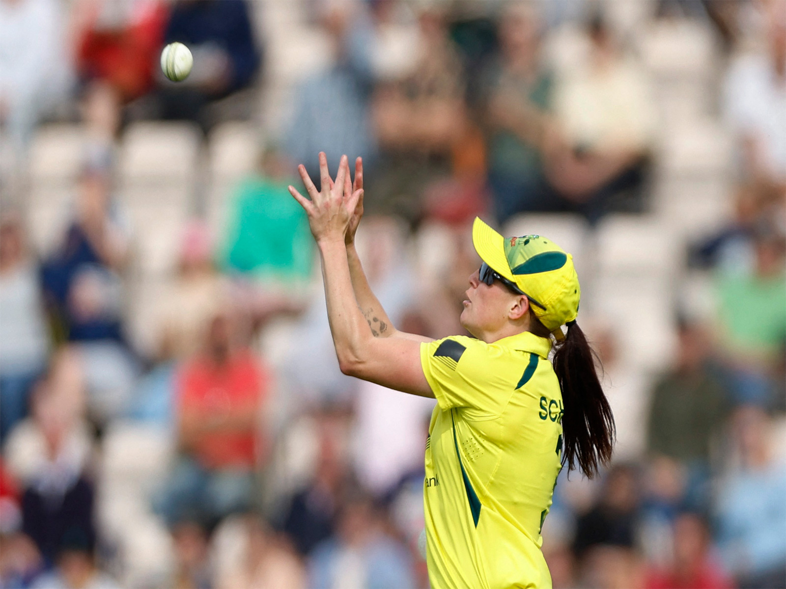 Australian coach Nitschke hails "ultimate professional" Schutt for ...