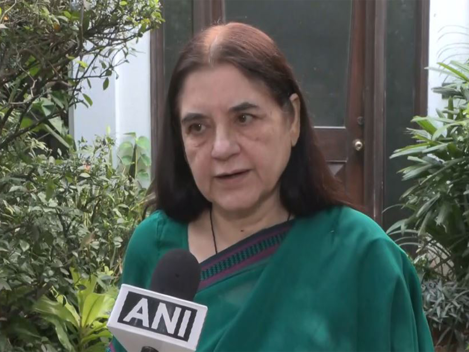 "This cannot be put into practice...": Maneka Gandhi criticizes SC ruling on stray dogs as ...