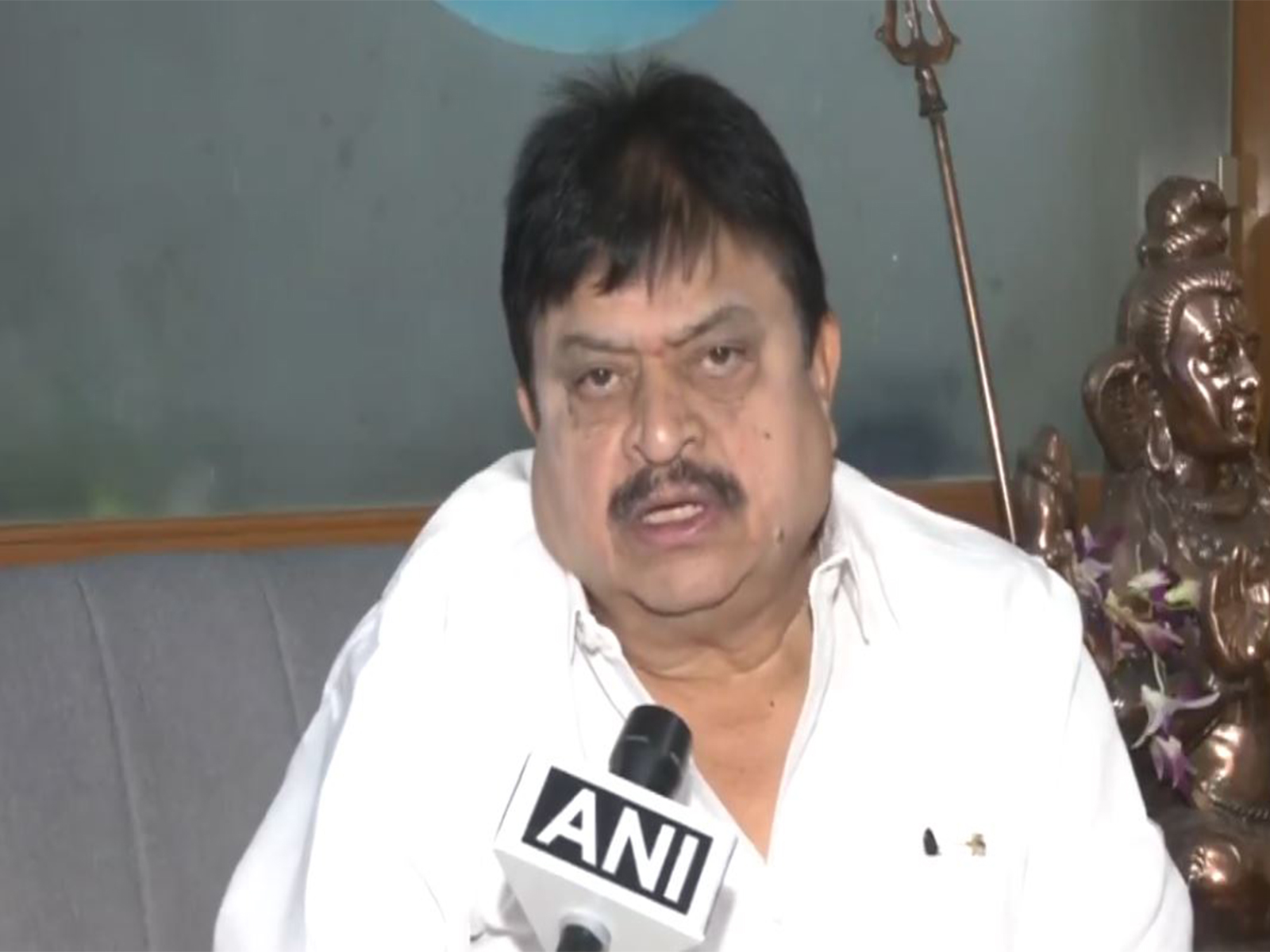 "Anti-national forces trying to disturb country's peace": BJP leader ...