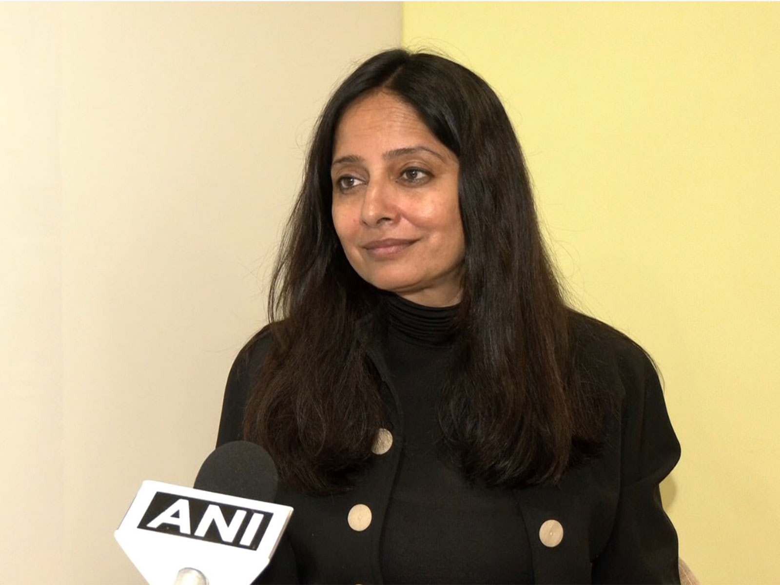 Budget may address customs rate slabs, inverted duty structures ...