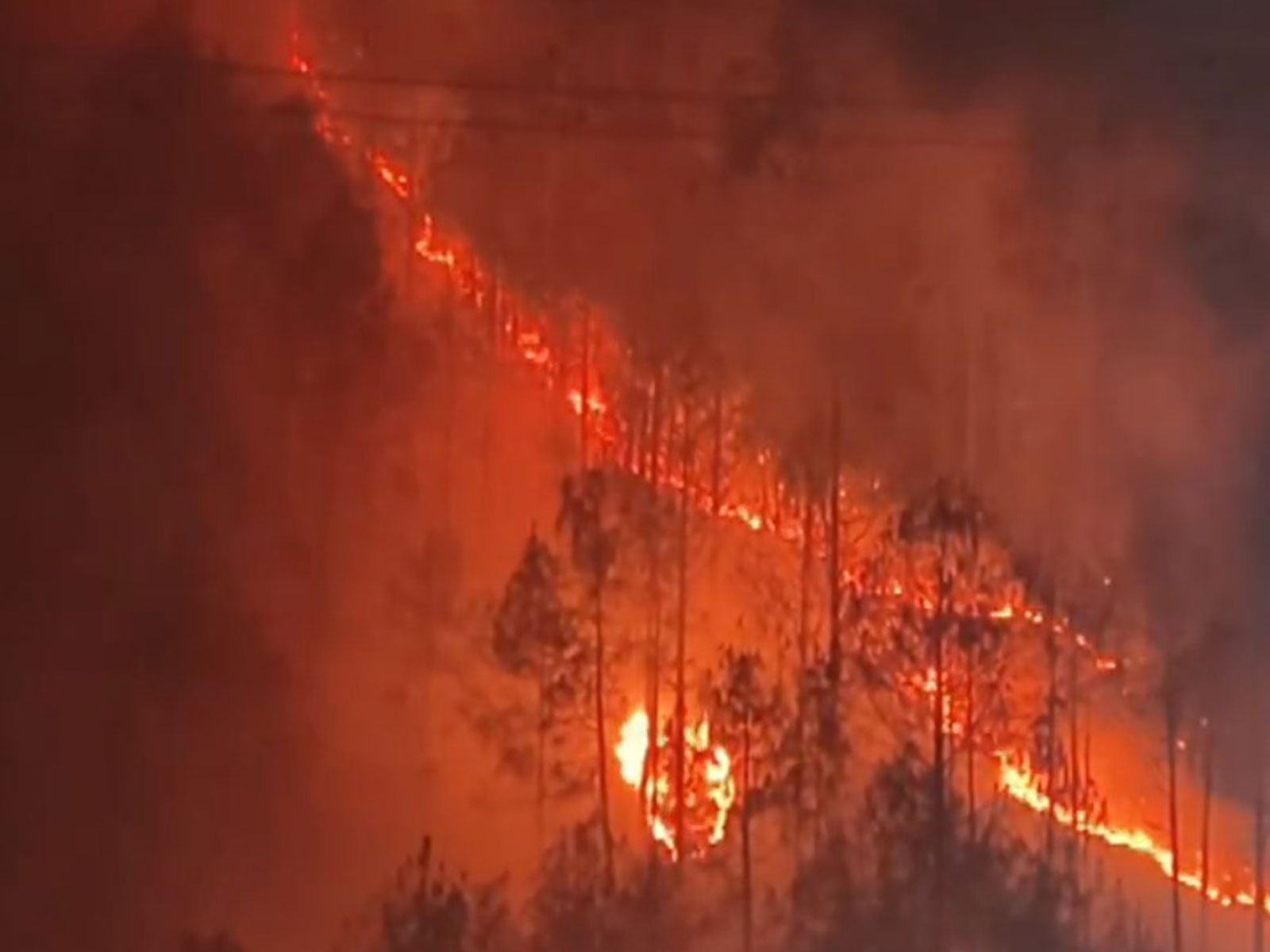 Uttarakhand: Massive forest fire in Tehri Garhwal affects over 14 ...