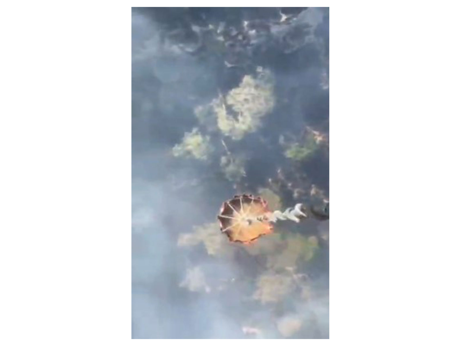 IAF-backed 27-hour operation douses massive forest fire in Himachal's ...