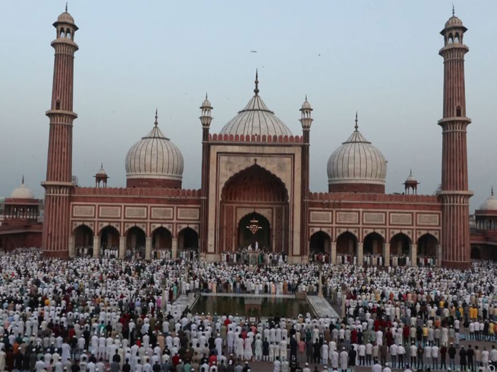 Eid-ul-Adha: Large gatherings at mosques, prayers held peacefully