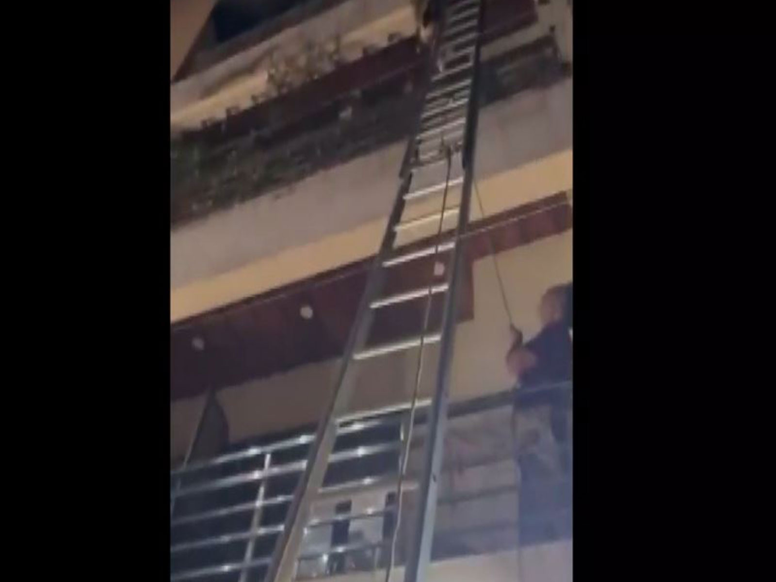 Uttar Pradesh: Three dogs killed in Ghaziabad Apartment fire, several ...