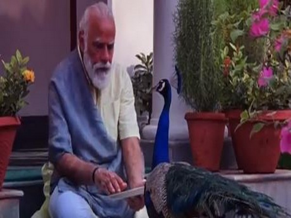 PM Modi spends time with peacocks at residence, shares video