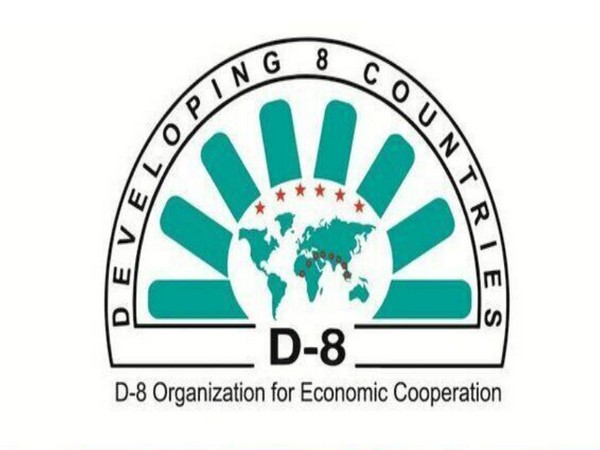 10th summit of D-8 on economic cooperation kicks off virtually
