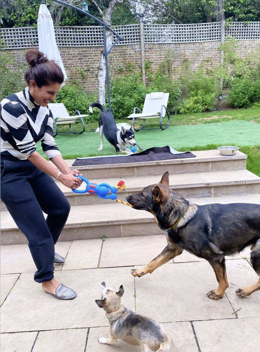 Meet these Bollywood stars and their pets