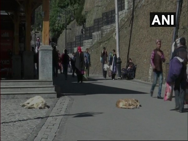 Himachal: SMC offers free parking, 100 pc discount on garbage bill for ...