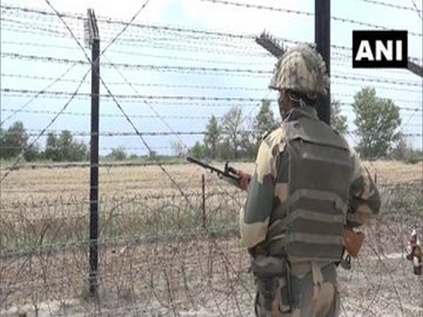 BSF coordinates with farmers to cultivate 250-acre Chakori farm in Jammu